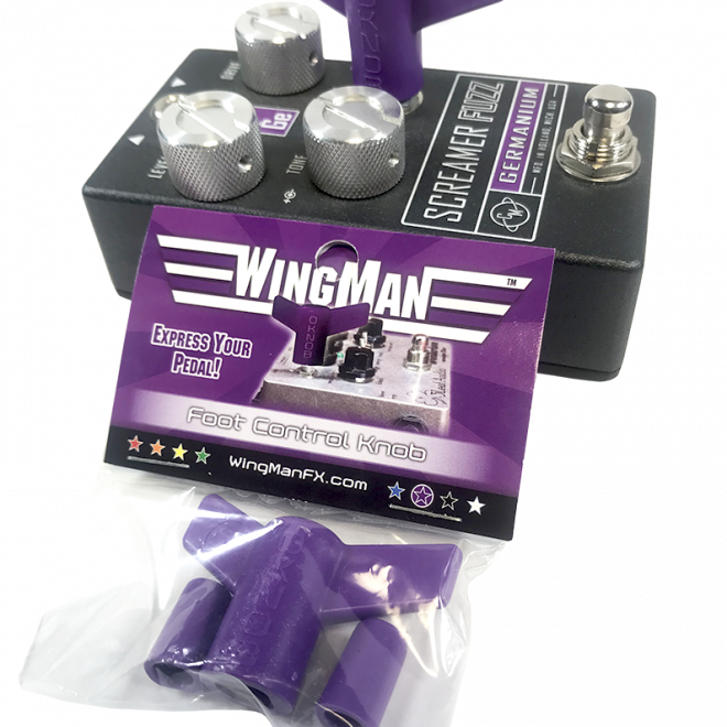 WingMan 'Color Guard'